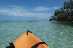 Swimming And Paddling In Paradise – Explore The Snipe Keys – South ...