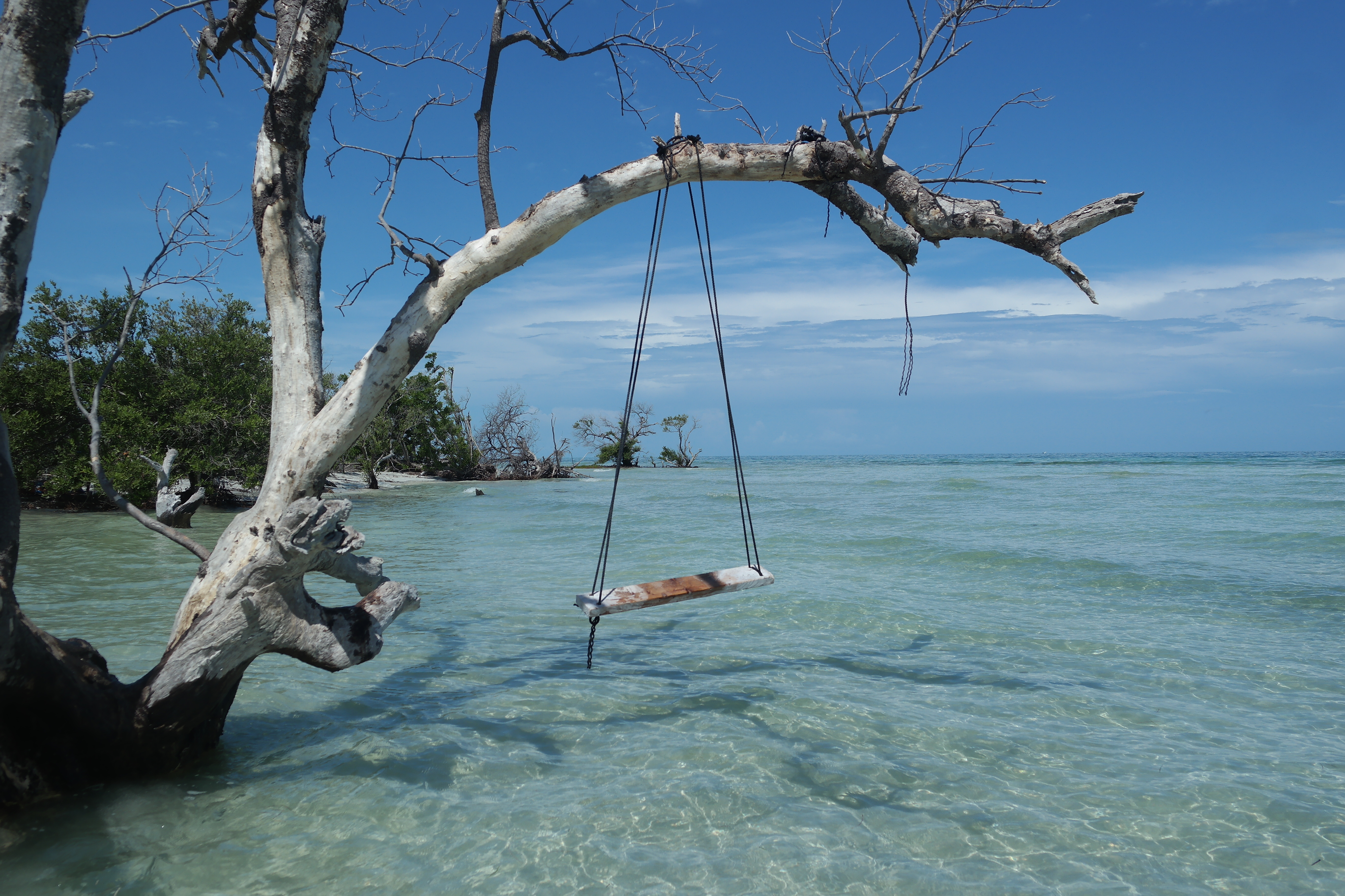 Swimming And Paddling In Paradise – Explore The Snipe Keys – South ...
